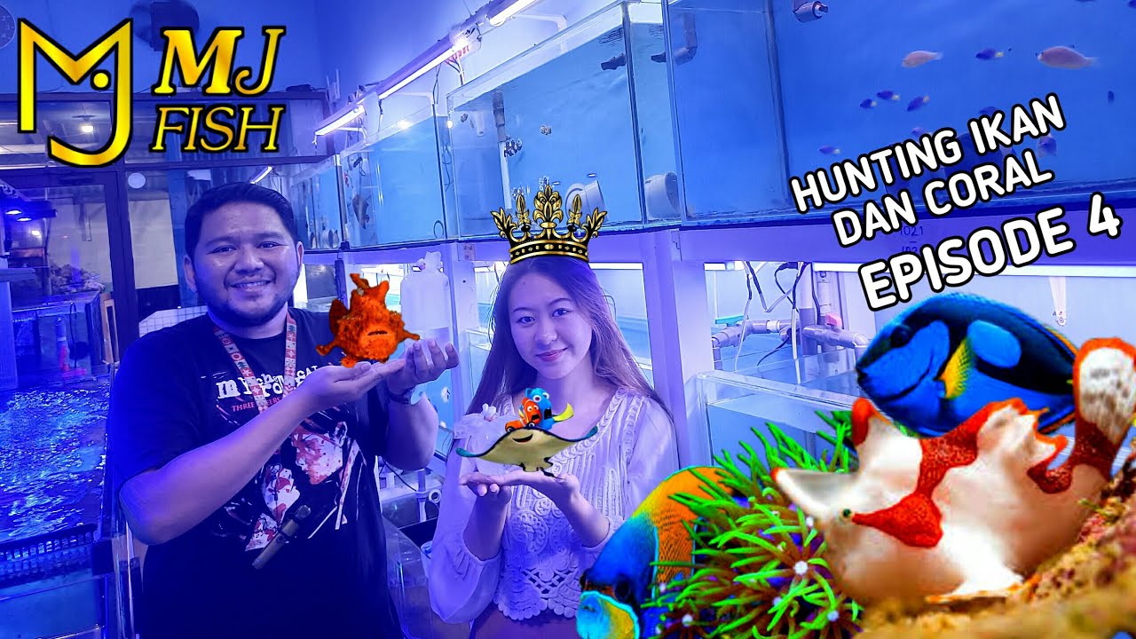 ISI CORAL DAN IKAN DI REEF TANK TIM THREE A. EPISODE 4. HUNTING CORAL DAN IKAN DI TOKO MJ FISH ...