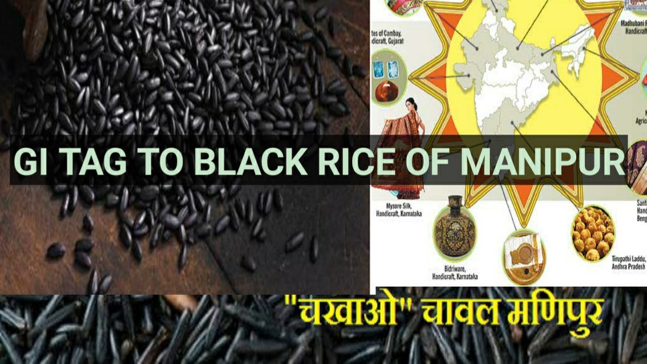GI TAGS # Black rice of manipur _ saffron _ imp for RRB _CG PSC_ VYPAM ...