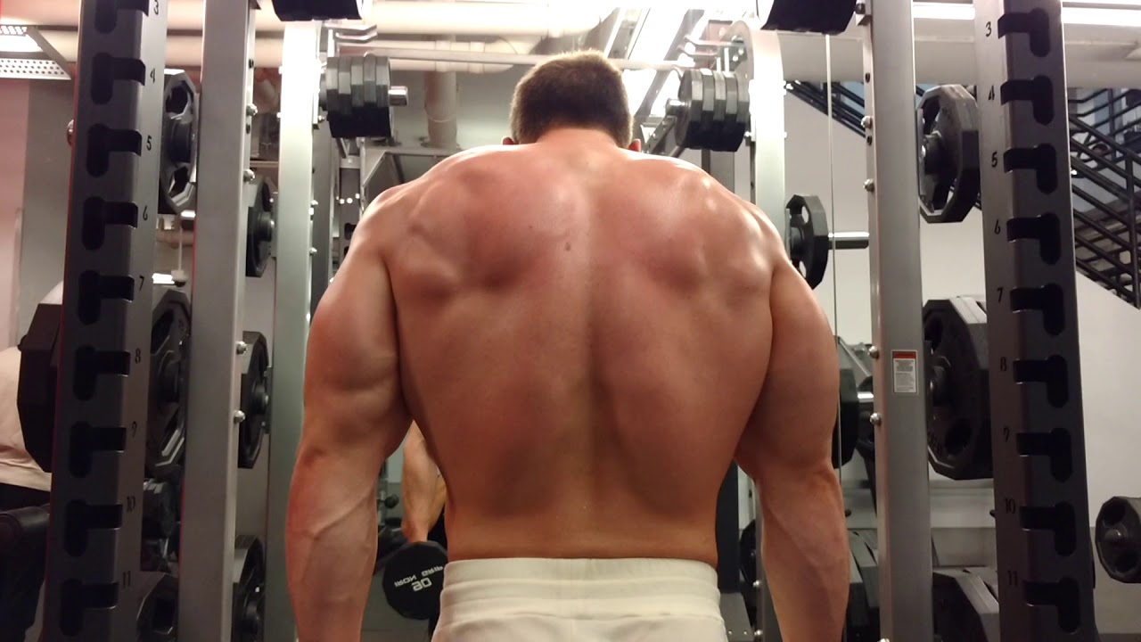 Dumbbell Shrugs ️ Pull Ups - YouTube