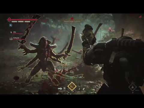 Warhammer 40K Space Marine 2 Chill Vibes 7 - YouTube