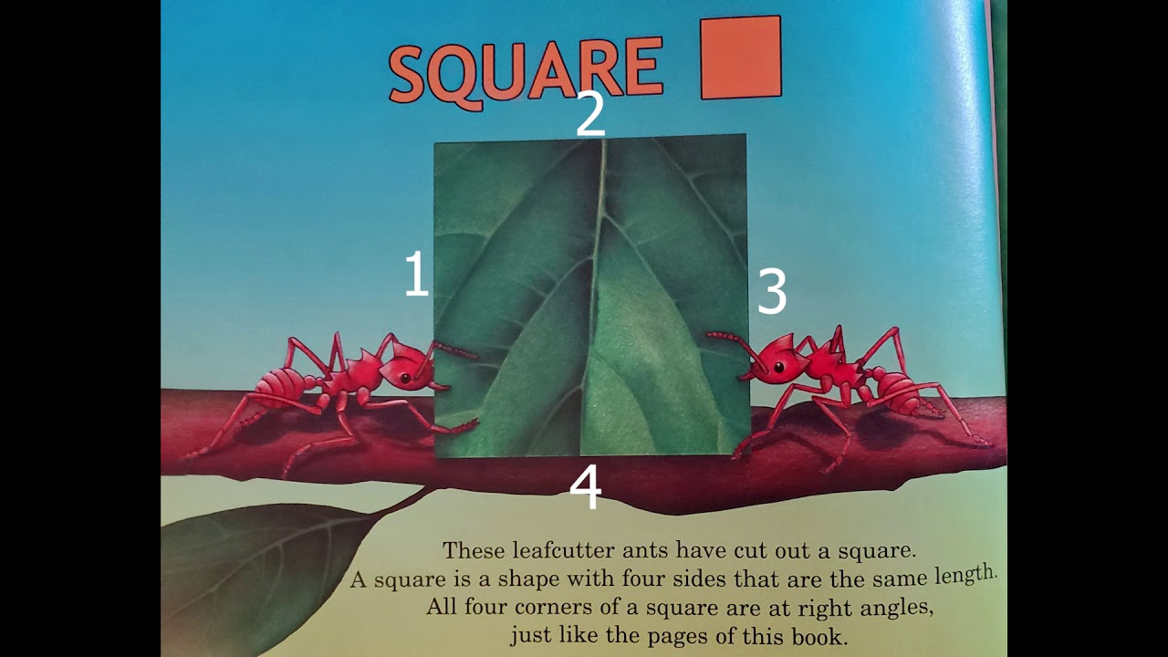 Icky Bug Shapes - YouTube