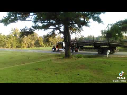 Peterbilt 359 Logging Truck - YouTube