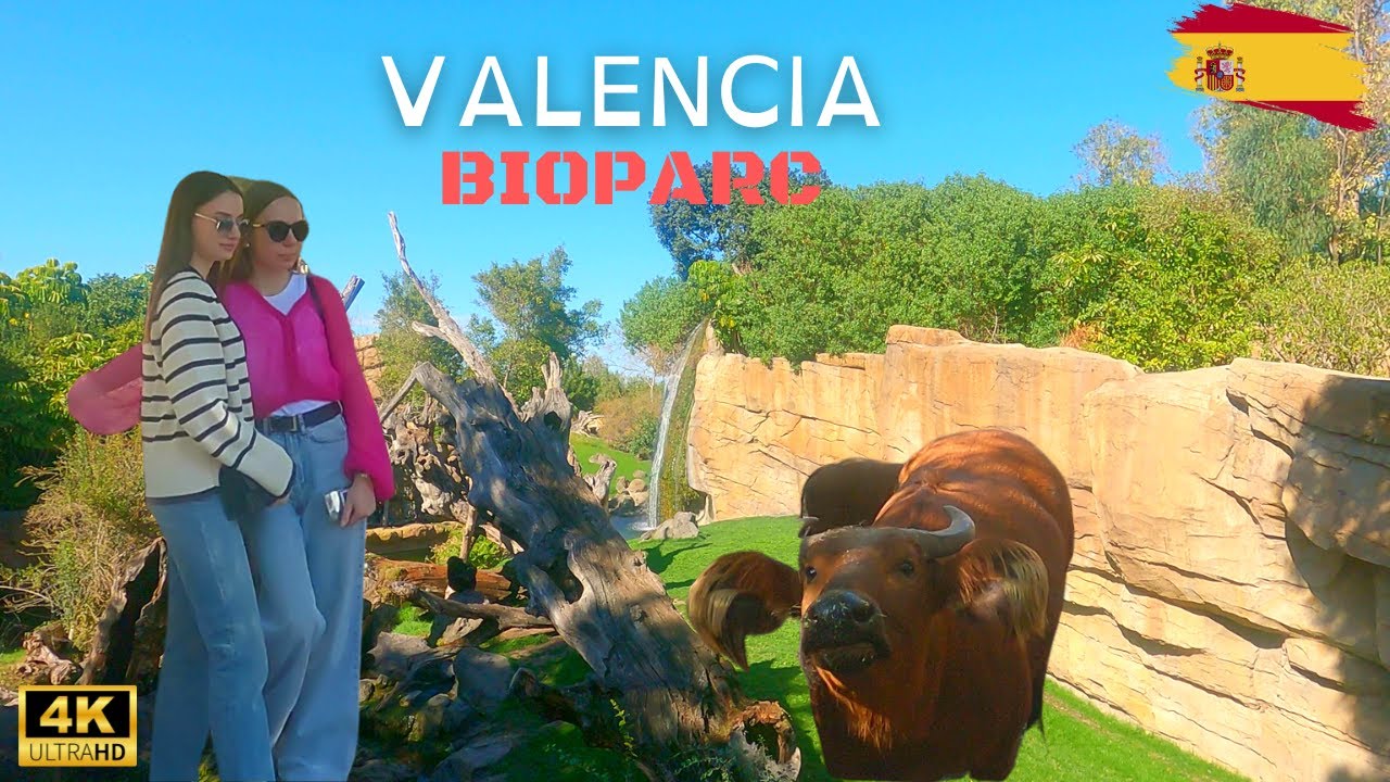 Valencia Bioparc | Zoo In Valencia Spain - YouTube