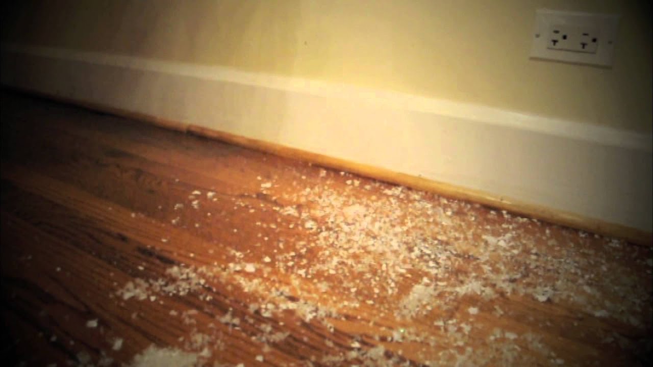 BuyHappier.com Holiday with the Mint Plus [Model: 5200] - Buy Happier ...