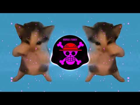 DJ KICAU KICAU MANIA REMIX ANGKAT LAH TOPI MINAT MONGGO JAPRI SLOW VIRAL TIKTOK FULL SONG 2026