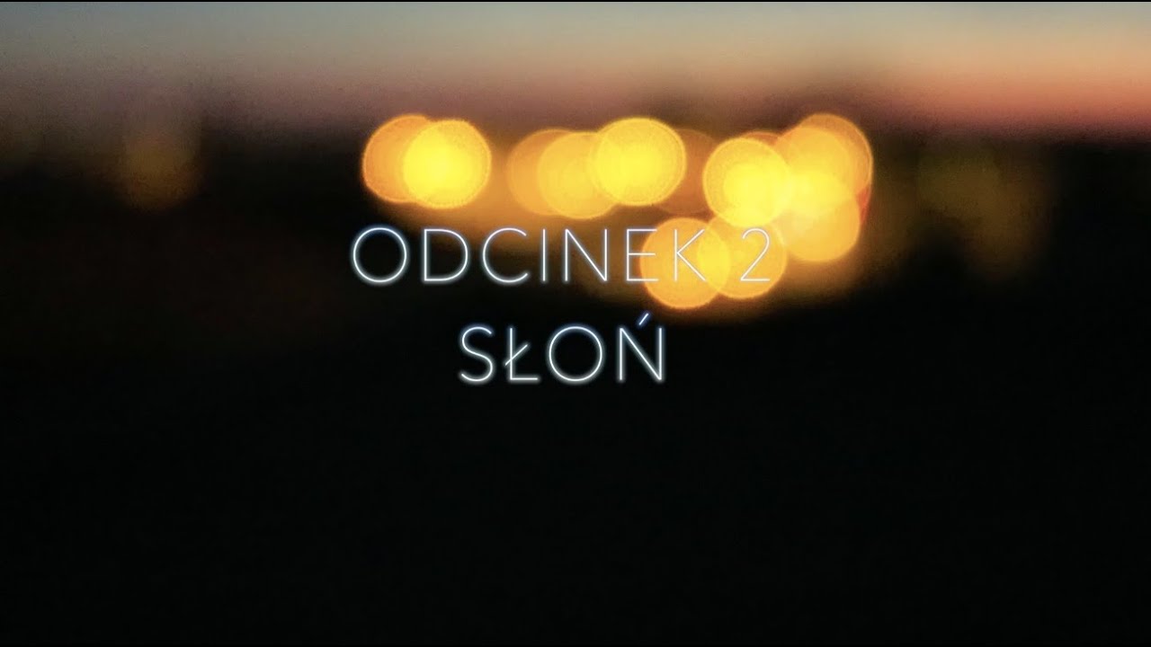 Dobranocka [#2] Słoń [PL\ENG\IT] - YouTube