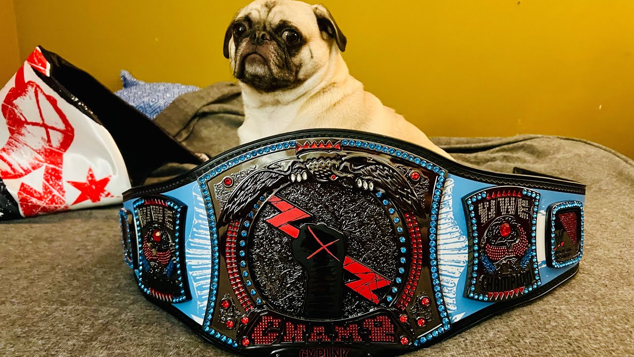 CM Punk Signature Series Belt WWE #wwe #cmpunk #wrestling belts - YouTube