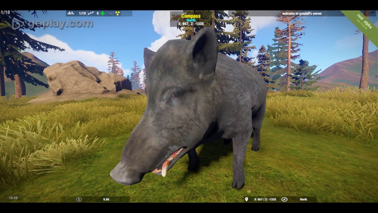 rust ai up close: boar - YouTube
