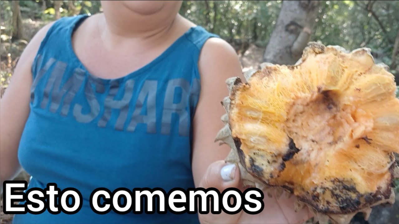ENCONTRAMOS UNA DE LAS FRUTAS RARAS EN EL SALVADOR CONOCIDA COMO ...