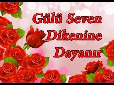 Gülü Seven Dikenine Dayanır