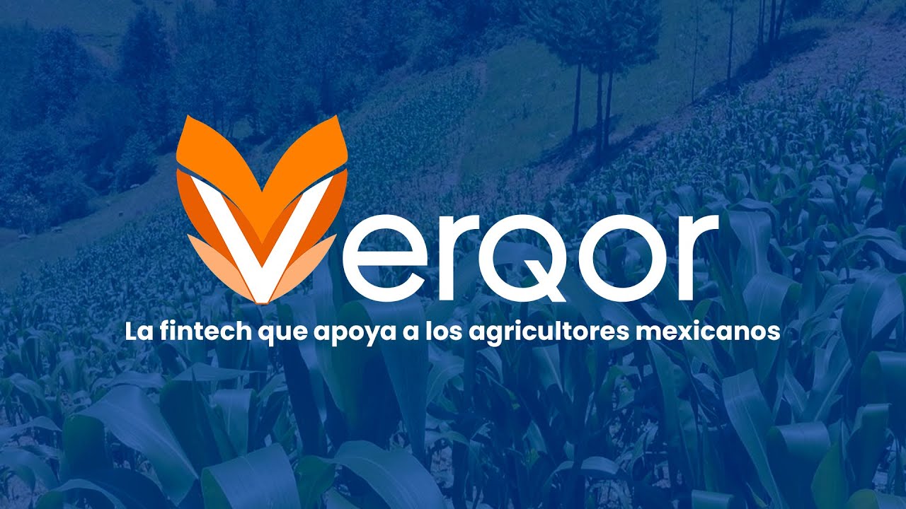 Verqor, la fintech que apoya a los agricultores mexicanos - YouTube