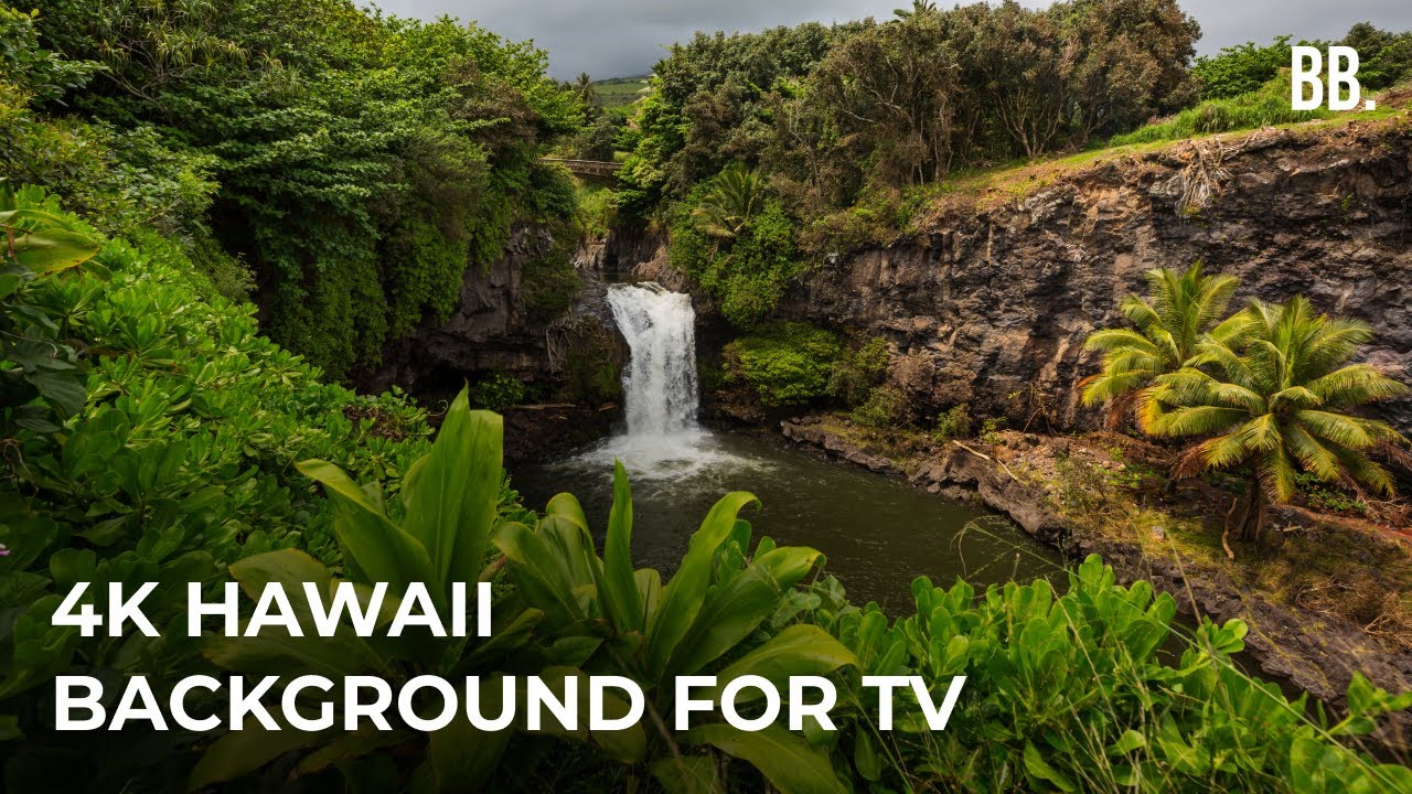 4K Hawaii Beautiful Landscapes in USA & Relaxing Sounds | 4K Hawaii ...
