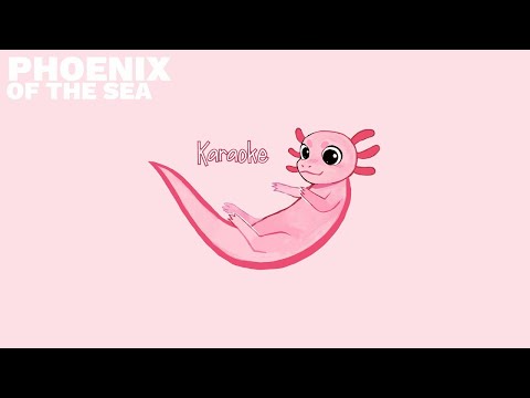 CG5 - Phoenix of the Sea [Official Karaoke Video]