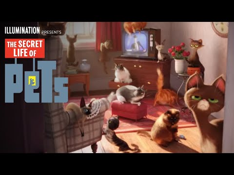 The Secret Life Of Pets | Two Kinds of Pet Owners (Cat) (HD) | Illumination