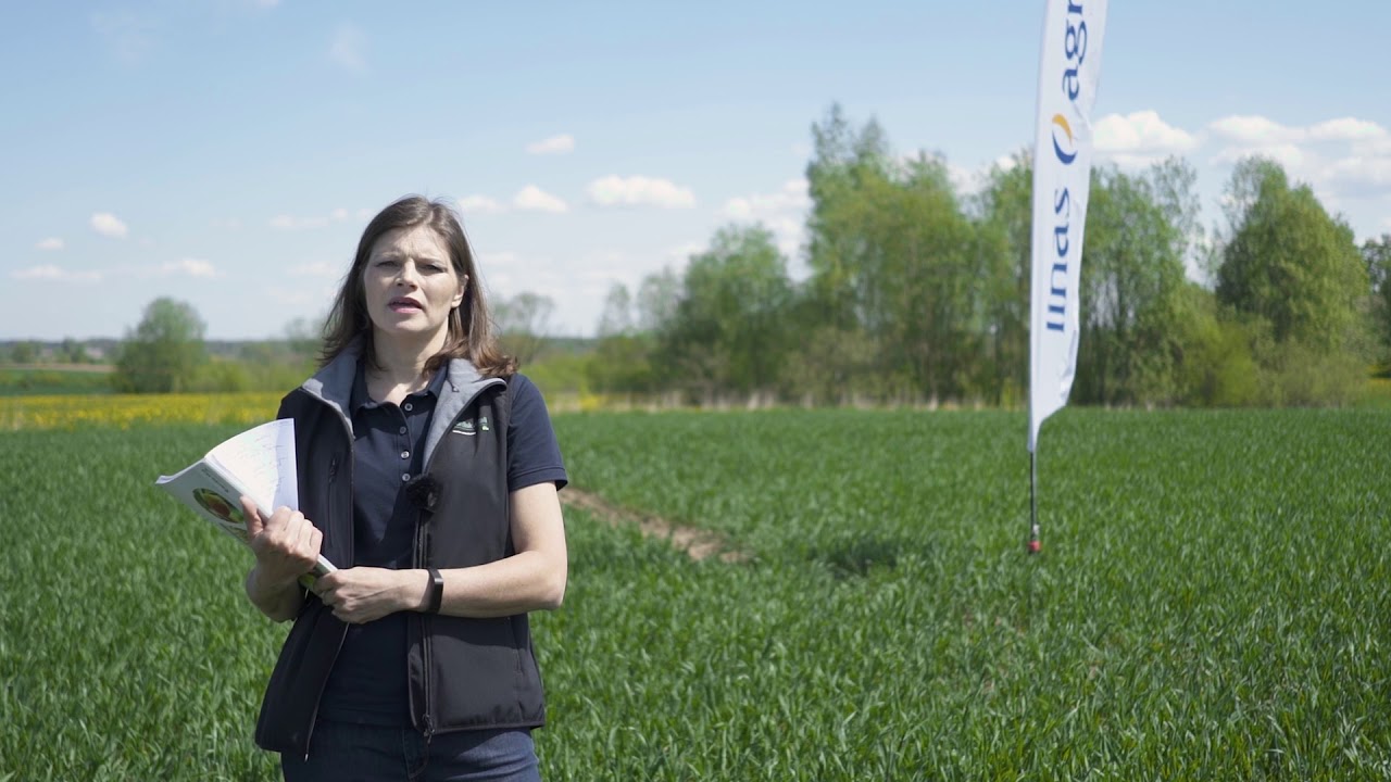 ''Nordisk Alkali'' Dace Teterovska - YouTube