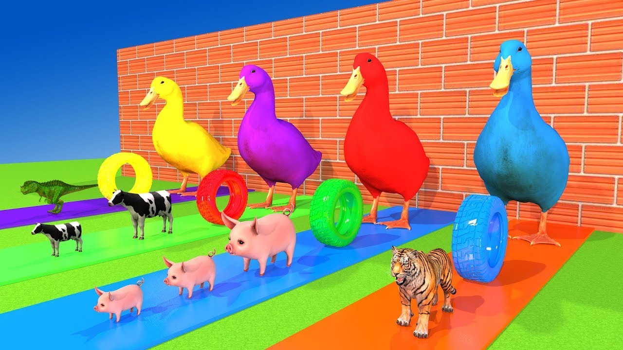 5 Giant Ducks Pig, Tiger, Cow, Dinosaur, Wheel Egg Game, Crossing the ...