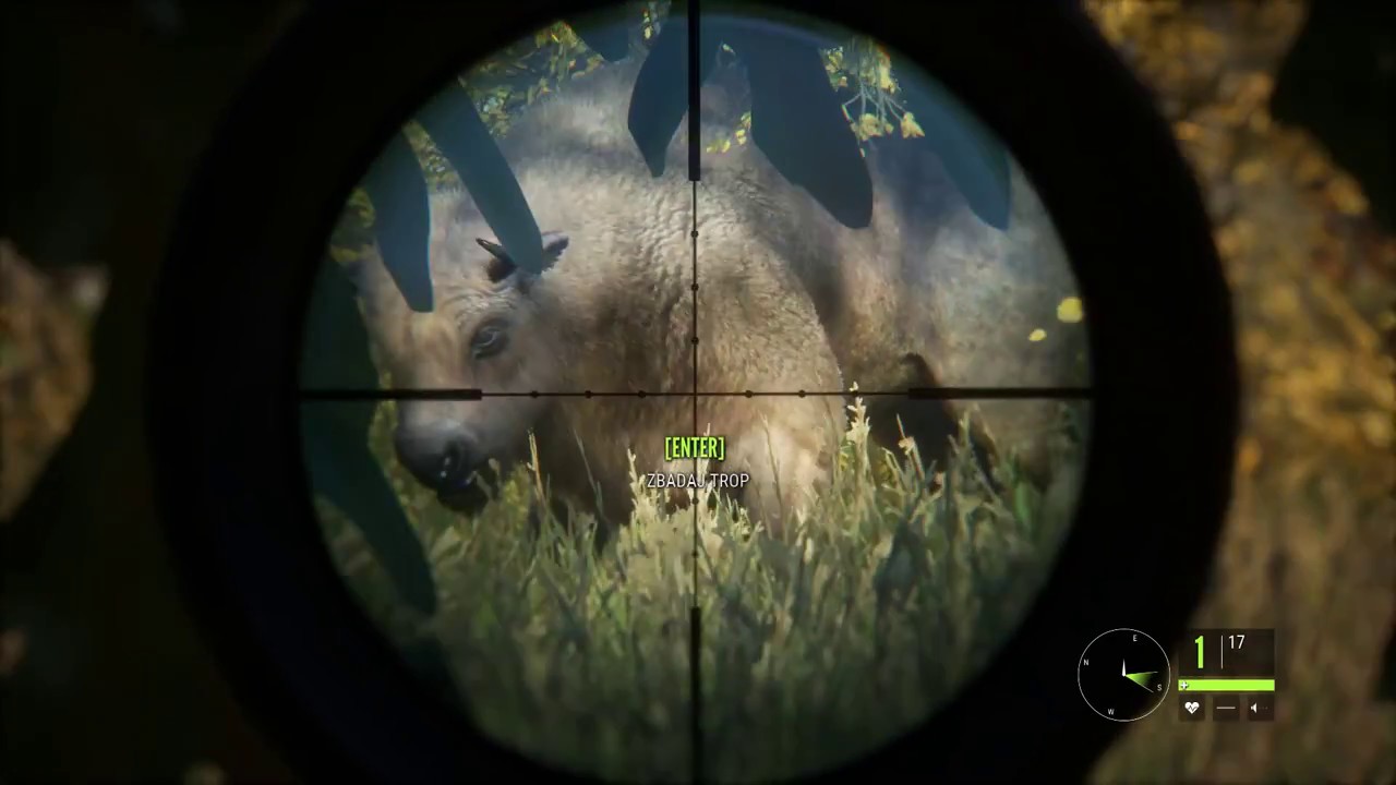 No comment 1 - bison, 7mm Magnum - The Hunter CotW - YouTube