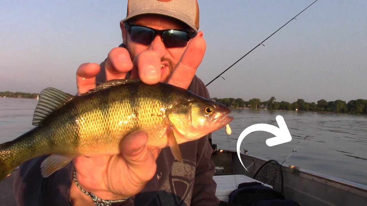 WALMART CHALLENGE We Caught the most HATED Fish in the Lake and we ate ...