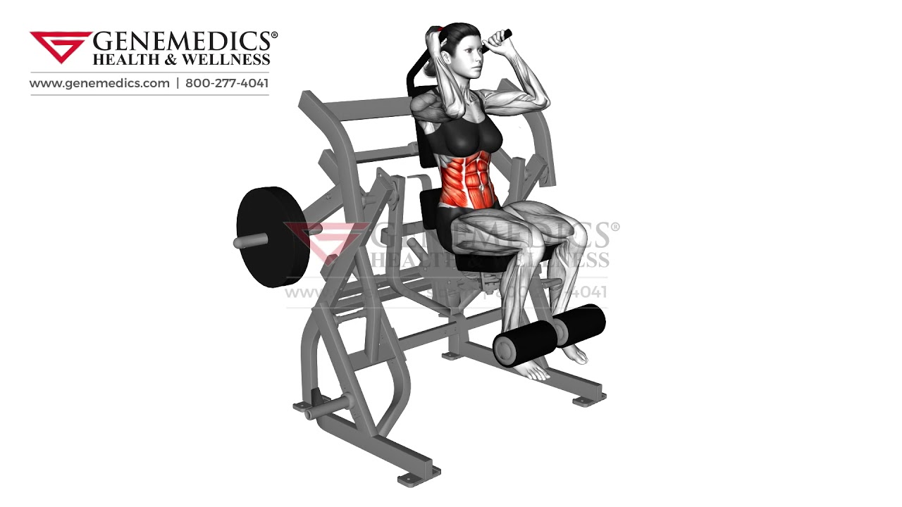 Lever Seated Leg Raise Crunch plate loaded female Waist Exercise - YouTube