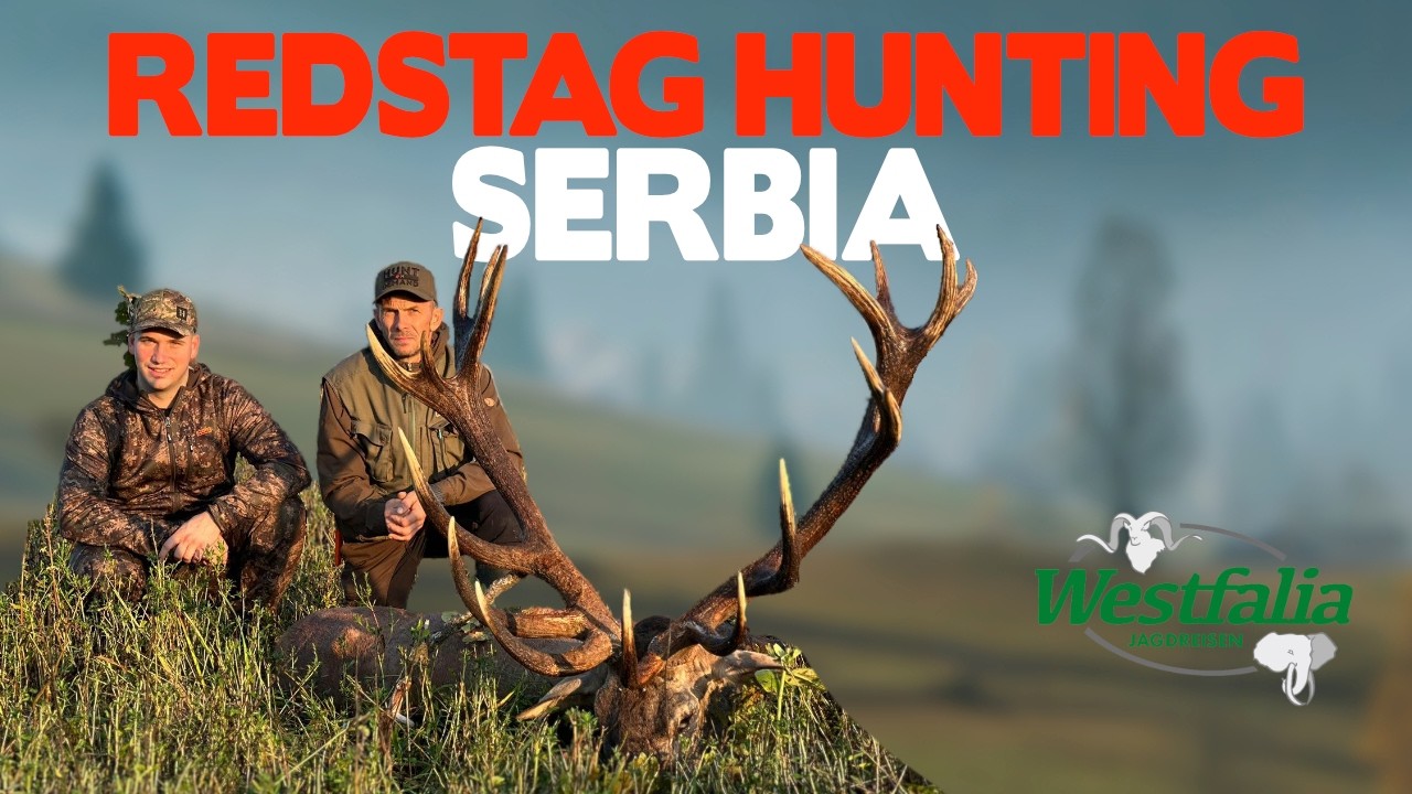 World-Class Red Stag Hunting Adventure in Serbia - Vojvodina - YouTube