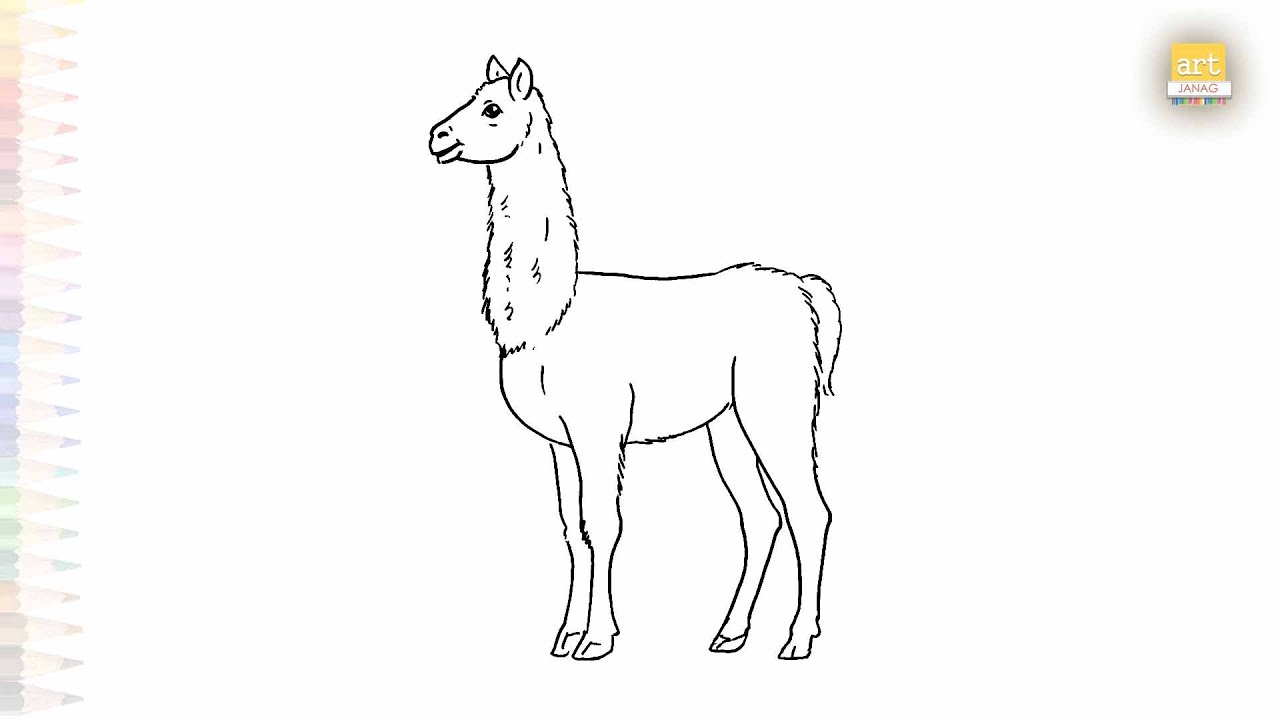 Llama easy drawing | Animal sketches | How to draw A Llama step by step ...