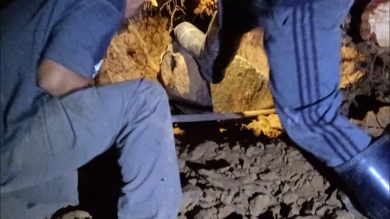 YAMASHITA TREASURE UNDER THE TREE recovery operation!!! - YouTube