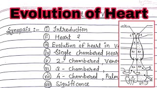Evolution of heart in vertebrate | Evolution of aortic ... | Doovi