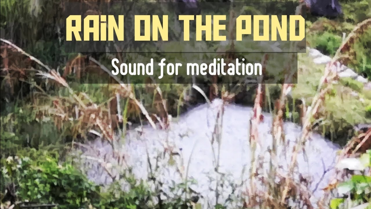 Rain on the pond - Sound for a hour meditation - YouTube