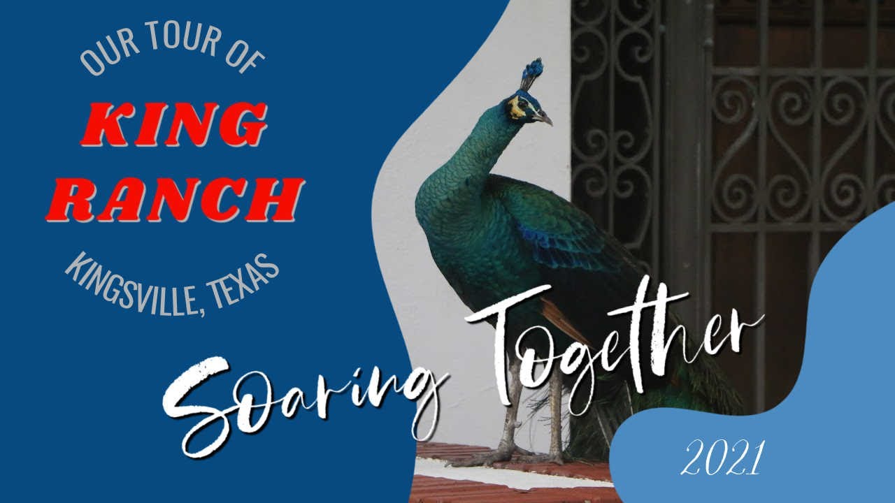 Our Tour of King Ranch, Kingsville Texas, Soaring Together, Full Time ...