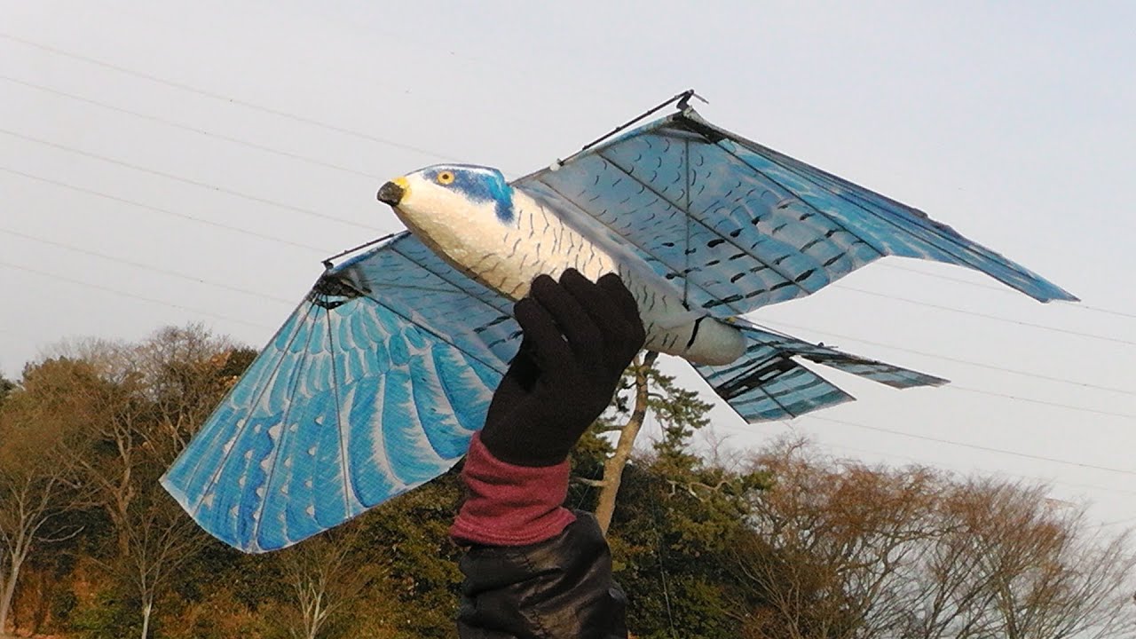 GosHawk25iV with articulated wing ; Good flight and Good Gliding - YouTube