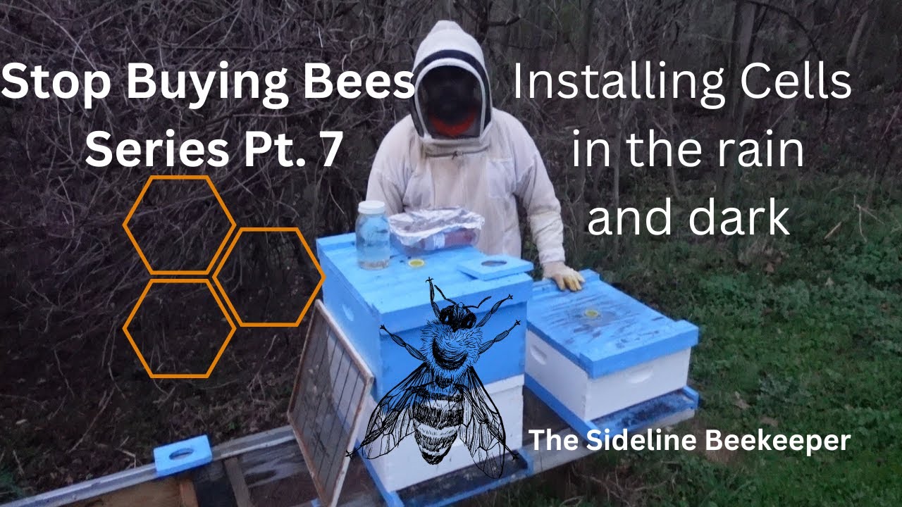 Beekeeping: Stop Buying Bees | Series Pt. 7 Adding Cells - YouTube