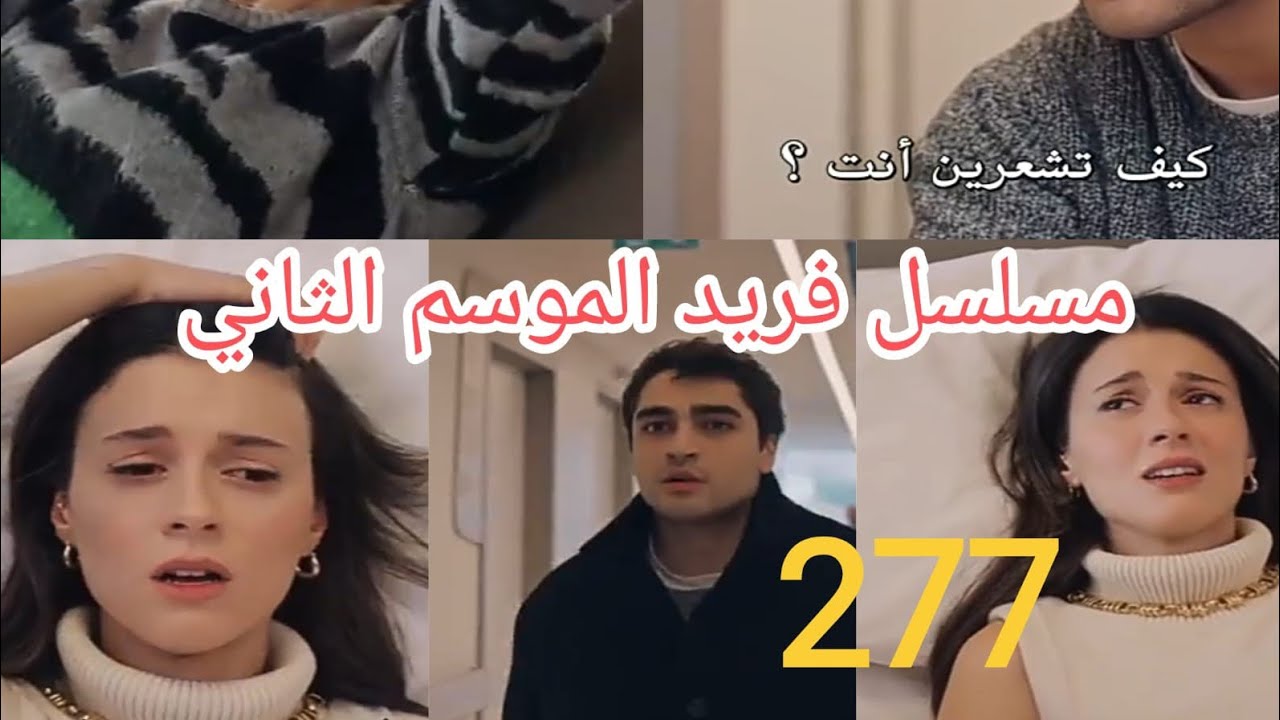 مسلسل فريد الموسم الثاني الحلقه 277 Youtube