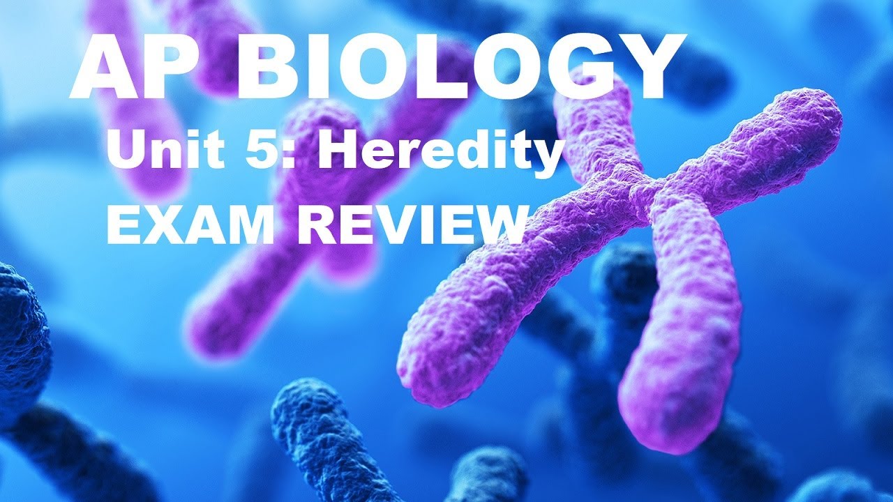 AP Biology - Unit 5 Comprehensive Review - YouTube