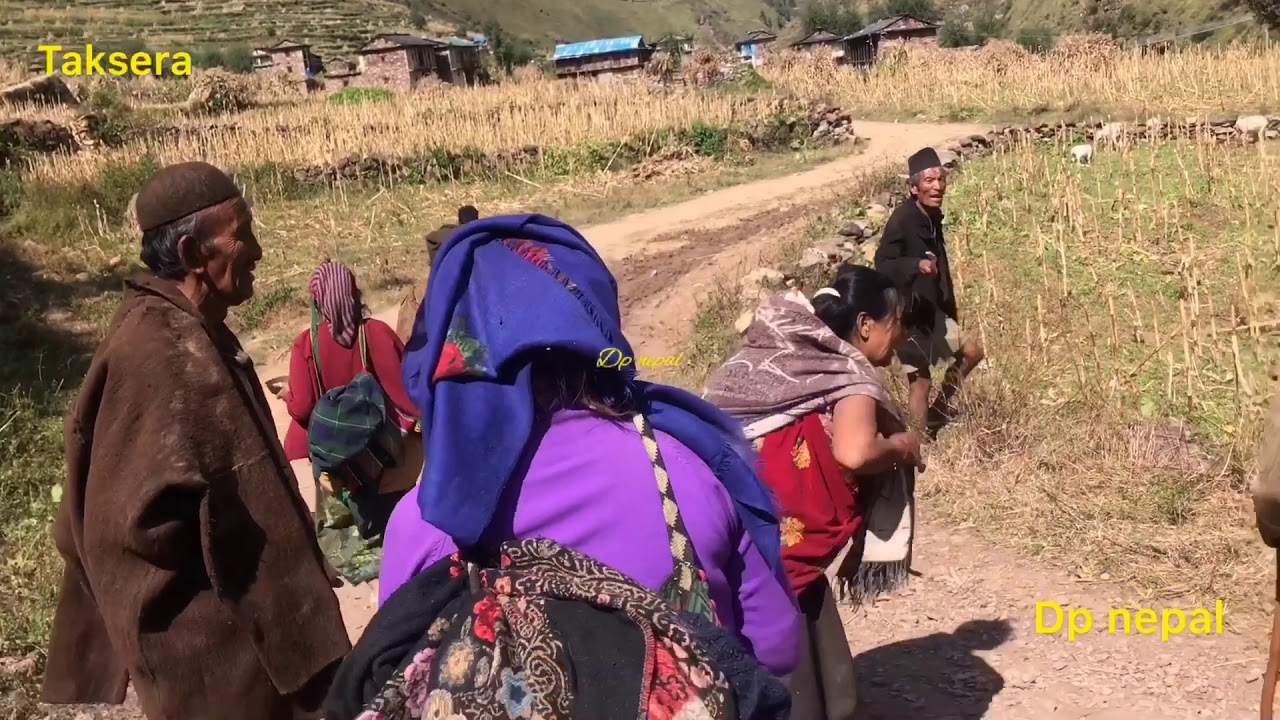 Shepherds life style east Rukum Taksera village in Nepal - YouTube
