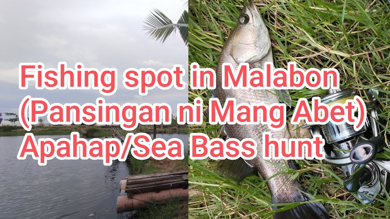 Fishing spot in Malabon (Pansingan ni Mang Abet)Apahap/SeaBass hunt # ...