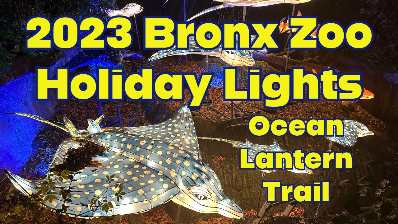Stroll Through the Ocean Lantern Trail: Bronx Zoo Holiday Lights - YouTube