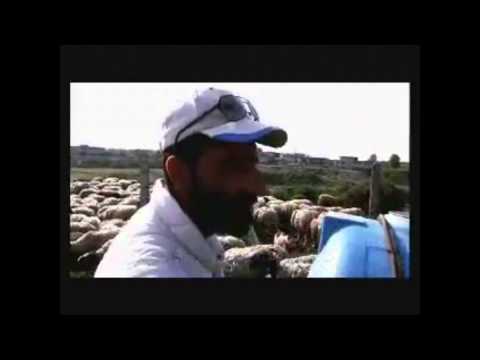 Biùtiful Cauntri - Trailer ufficiale