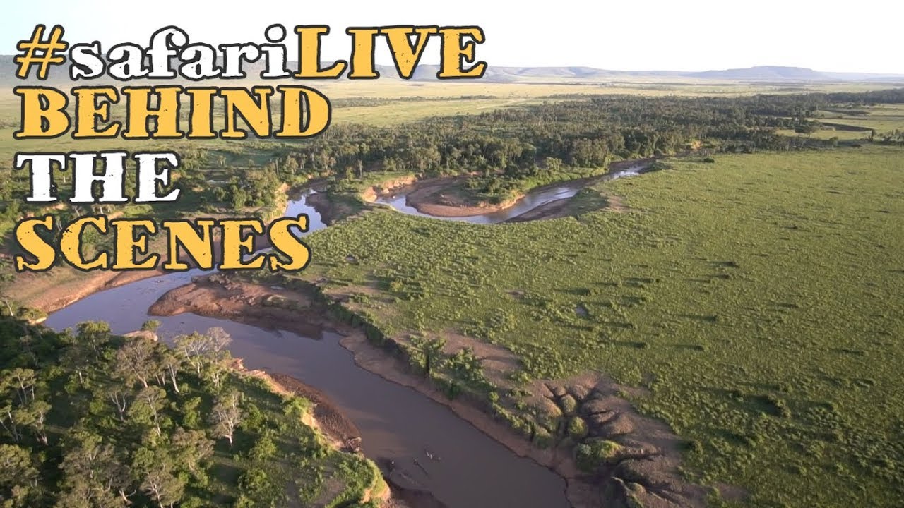 The river cams revealed! - YouTube