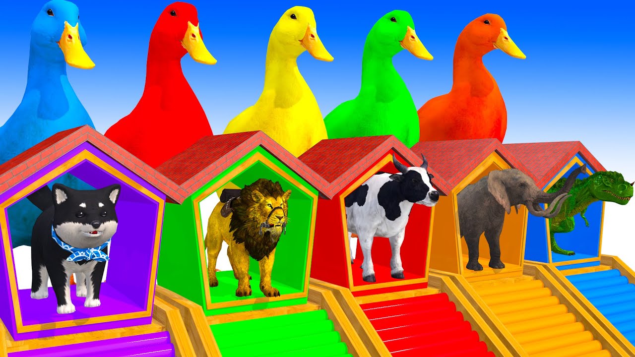Cow Mammoth Elephant Tiger Lion Buffalo Guess The Right Key ESCAPE ROOM ...