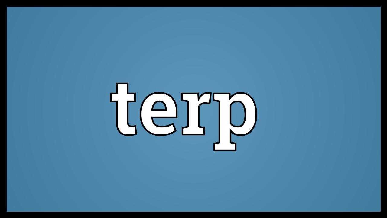 Terp Meaning - YouTube