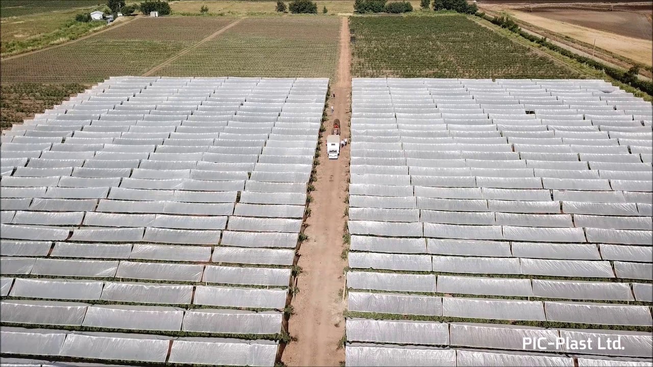 SOLARIG® RGR covering cherries and blueberries in Chile - YouTube