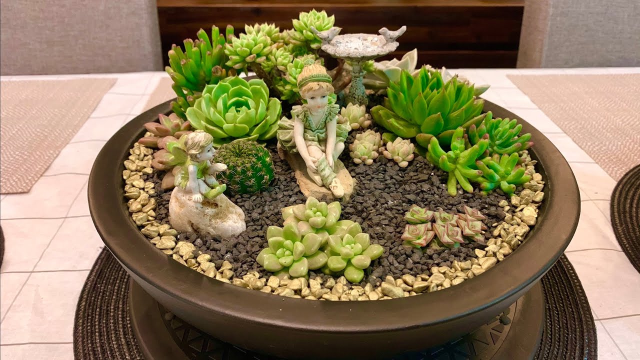 Succulent Arrangement in Black Terracotta Dish - YouTube