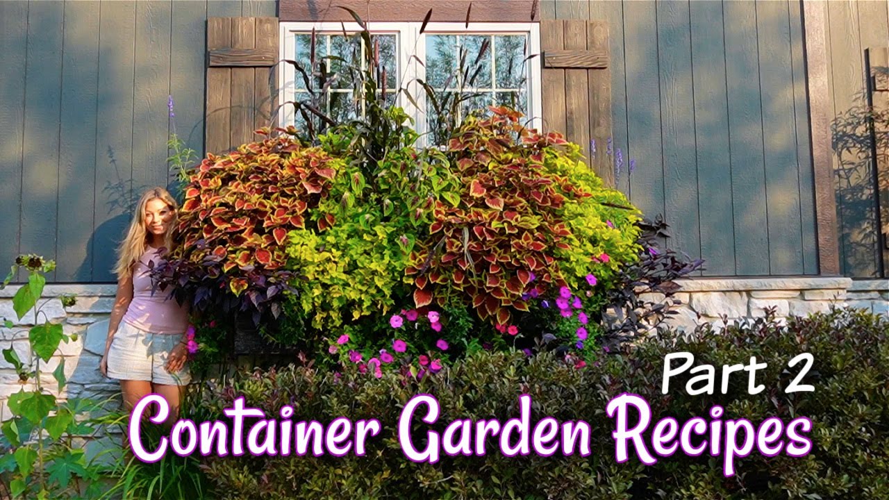 Container Gardening Recipes PART 2 - YouTube