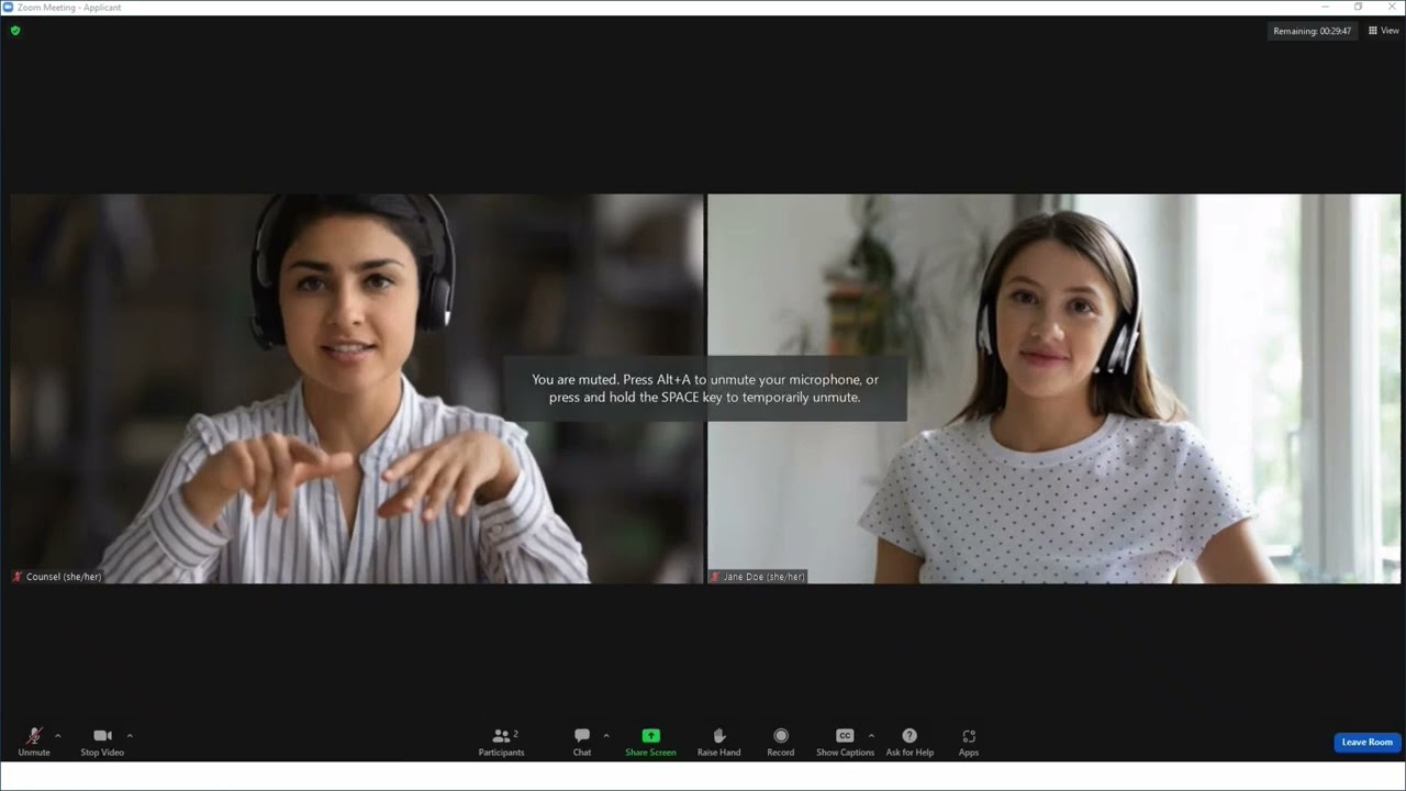 Additional Zoom Controls in a Virtual Proceeding - YouTube