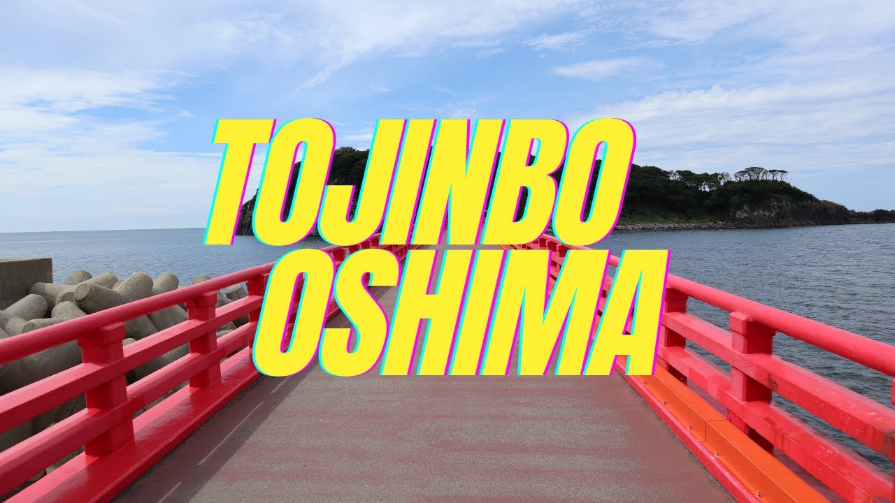 The Mysterious Tojinbo Cliffs & Oshima Island ｜ Experience Sakai, Fukui ...