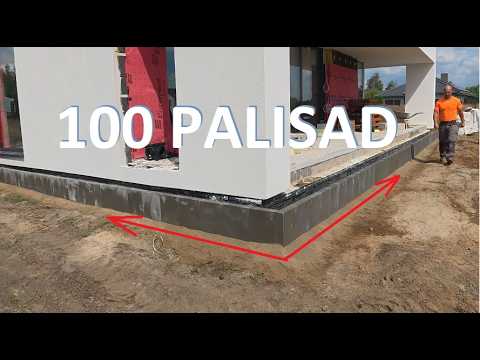 100 PALISAD PRESTO 50cm. KRAWĘŻNIKI 10cm NA OPASKĘ DO KAMYKA 🙆‍♂️ #brukarzyoutube