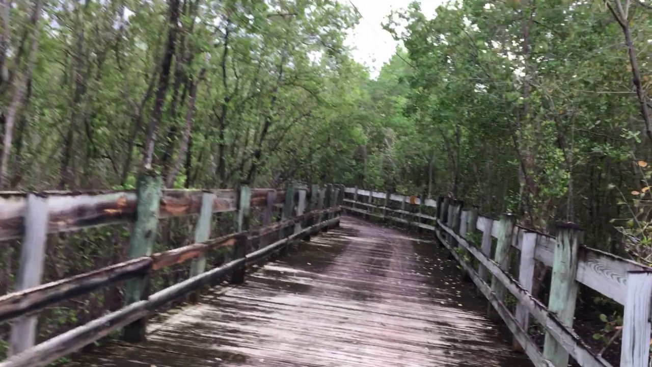 PASEO TABLADO DE PIÑONES - YouTube