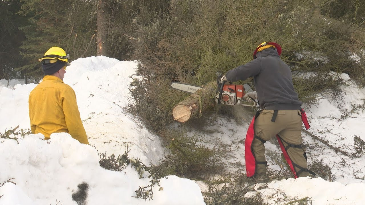 Alaska firefighters receive tactical wildland fire training - YouTube