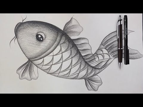 how to draw realistic fish 🐟||Easy way to draw a fish ||Jiya's ...