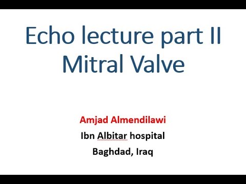 mixed language, echo lecture part II. mitral valve and mitral regurgitation - YouTube